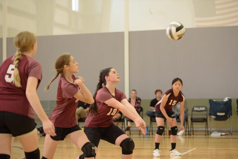 Volleyball – SVHE