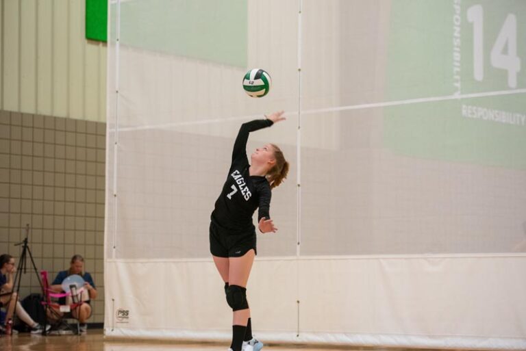 Volleyball – SVHE